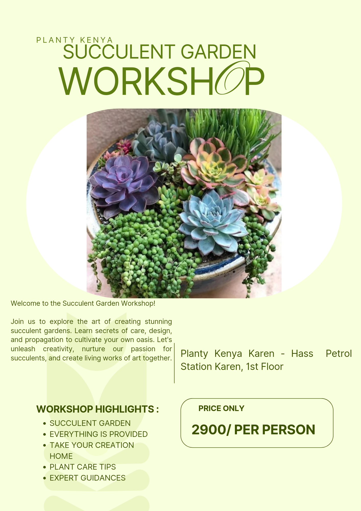 Succulent Garden Workshop – Planty Kenya