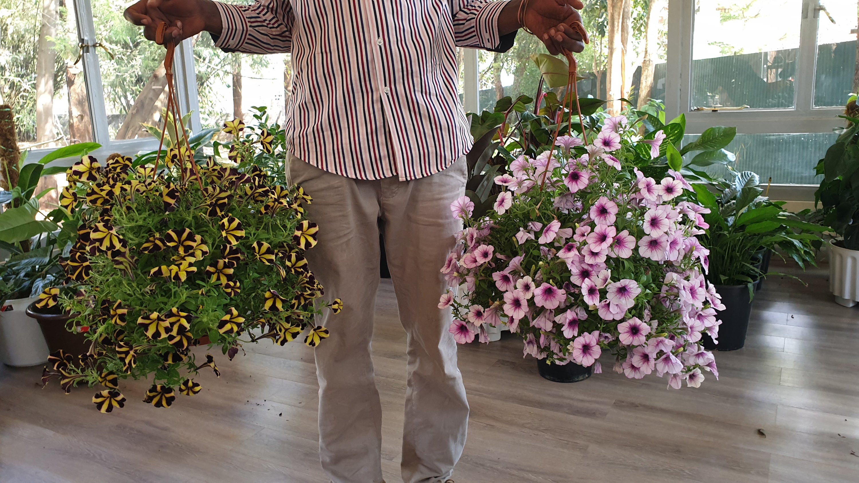 Planty Kenya | Indoor Plants, Pots and more | Shop now!