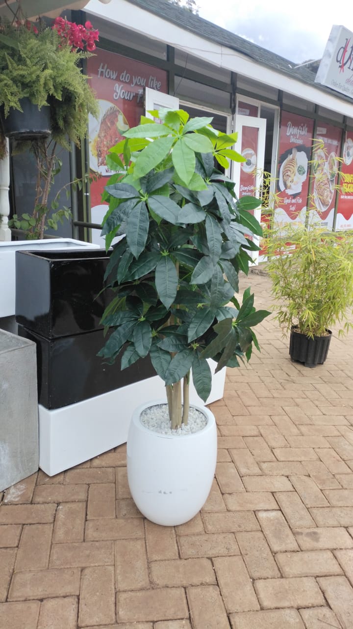 Artificial Plants – Planty Kenya