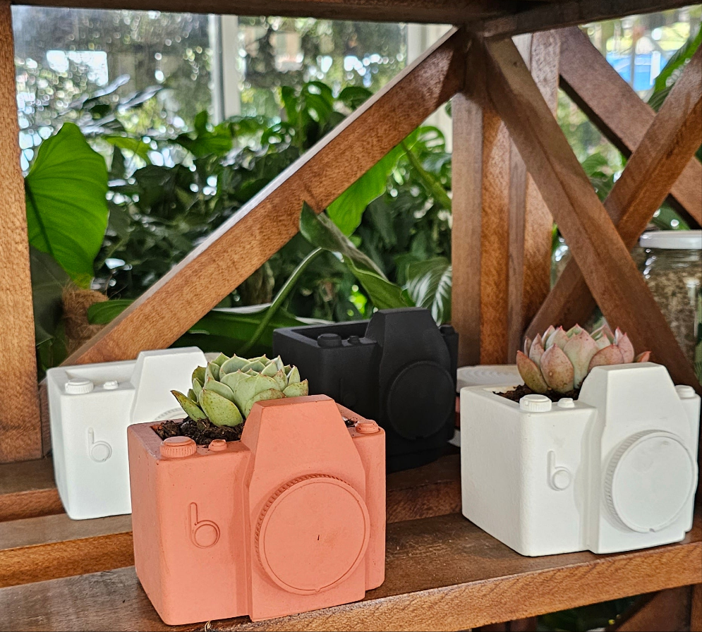 Camera Planter with Succulent – Planty Kenya