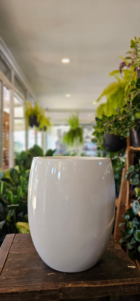 Egg Shaped Fibre Pot – Planty Kenya