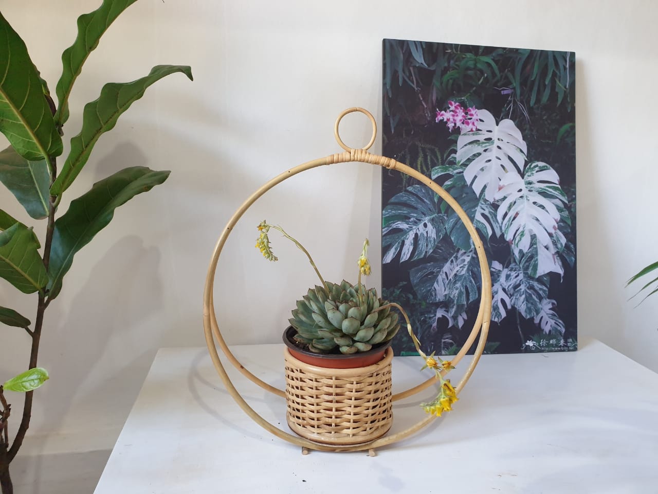 Rattan Planter Hanging | Order Online Now | Planty Kenya
