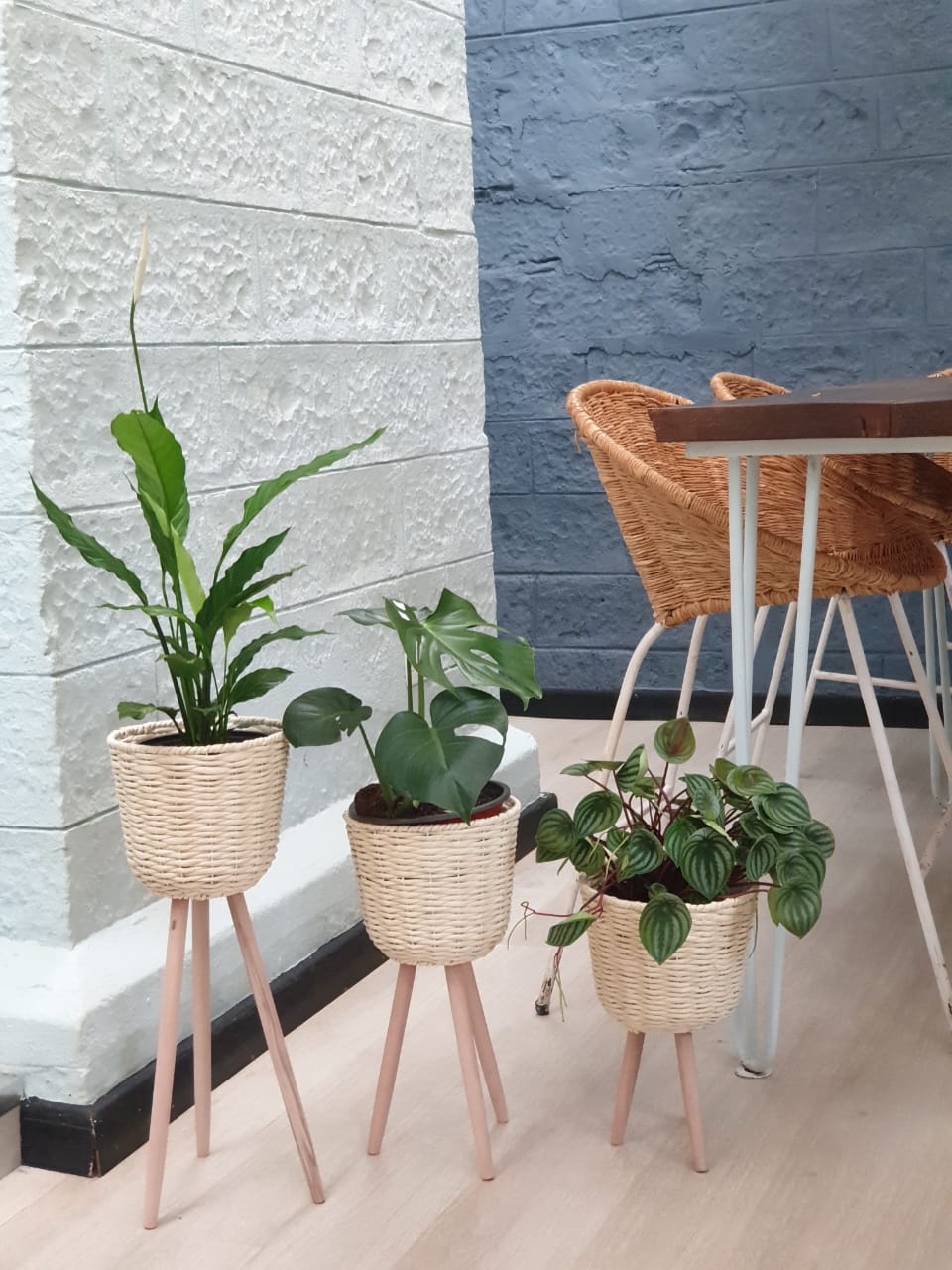 Rattan Stand | Order Online Now | Planty Kenya