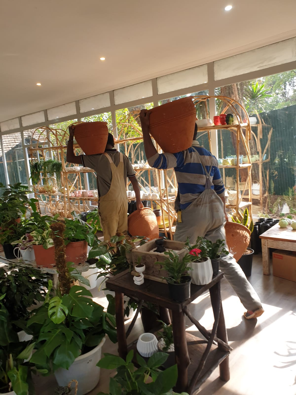 Clay Pots | Order Online Now | Planty Kenya