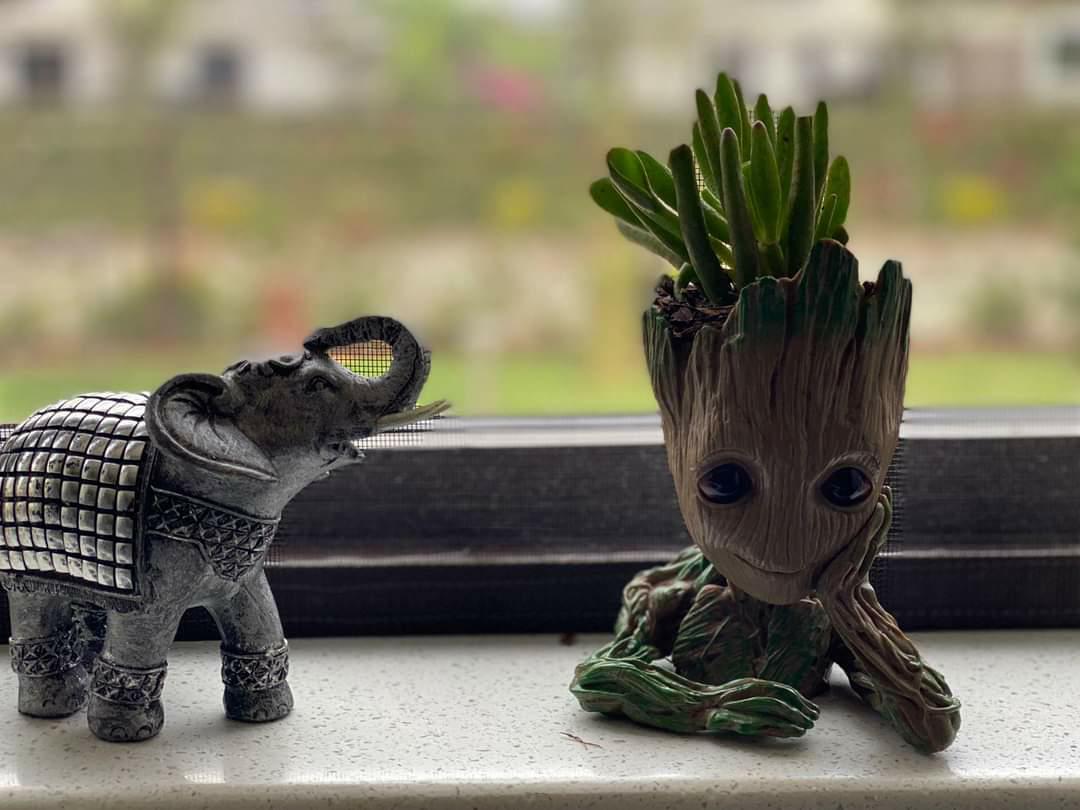 Baby Groot Planter | Order Now Online | Planty Kenya